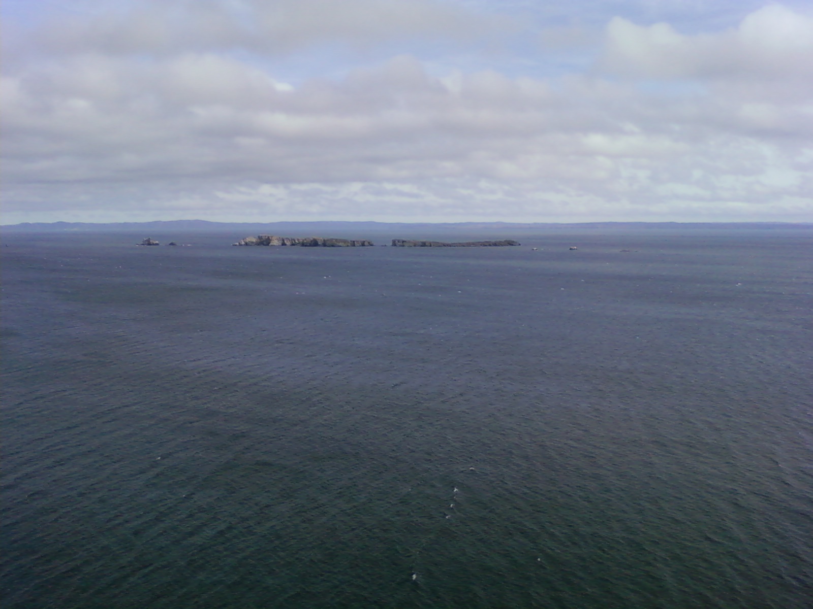 No Colony for Old Men: Peter Easton in Conception Bay | Conception Bay ...