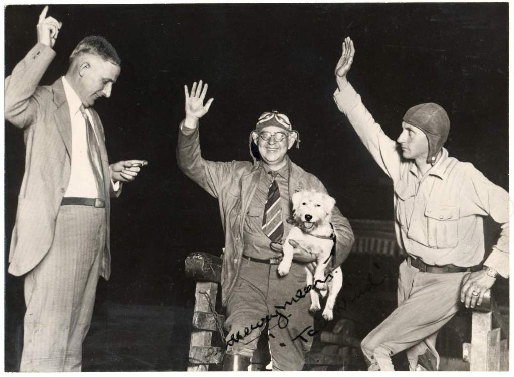 Windswept Tail | Conception Bay Museum